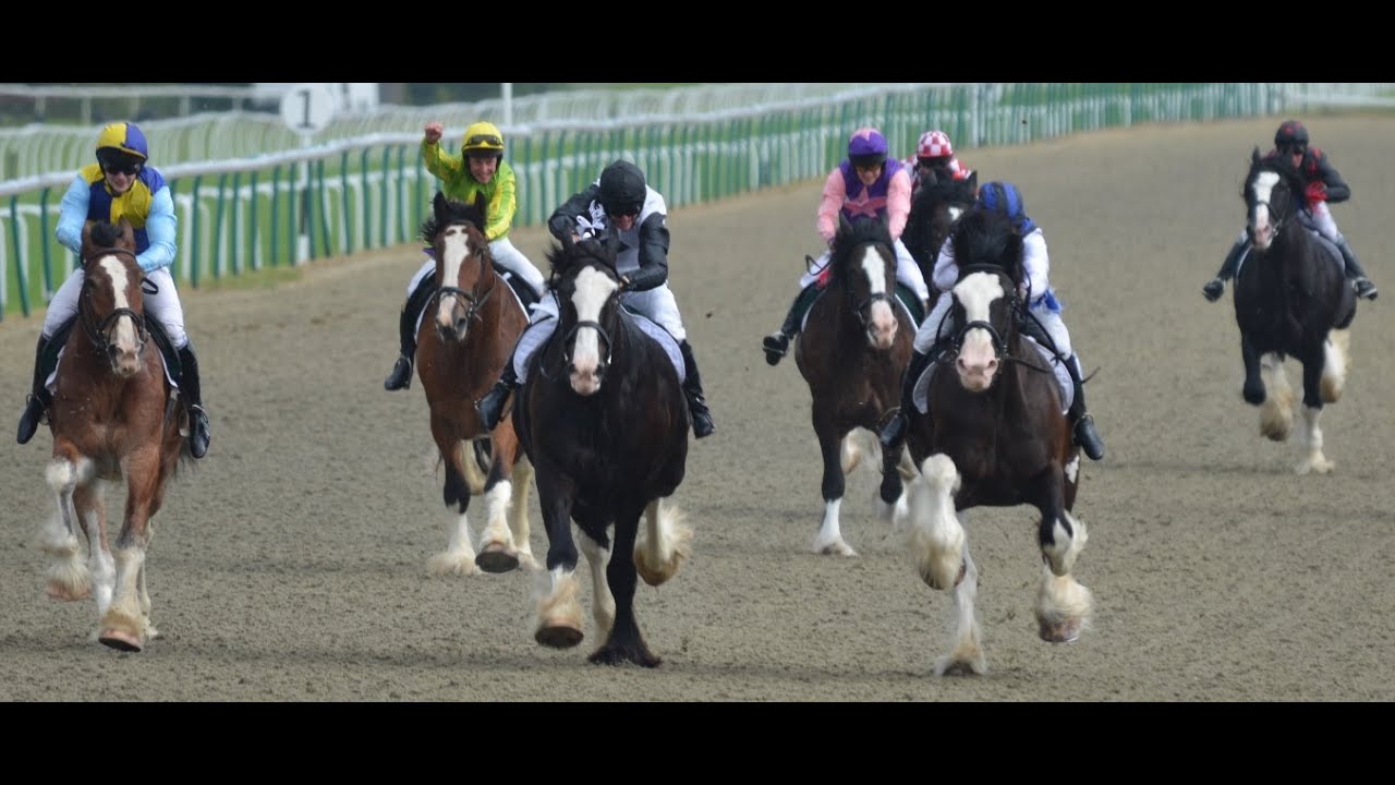 Heavy Horses - Stable Express