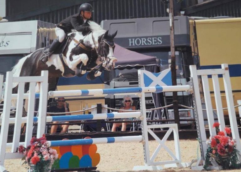 Show Jumps For Sale - StableExpress